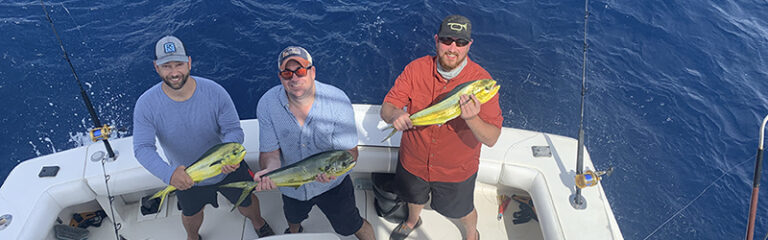 Dolphin Fishing In September / Key West - Key West Fishing Charters Go ...