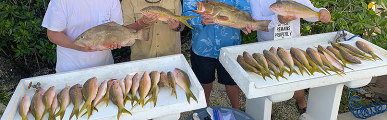 September Yellowtail Snapper / Groupers - Key West Fishing Charters Go ...