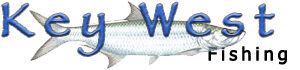 Top Ten Key West Fish Species - Key West Fishing Charters Go With Capt ...