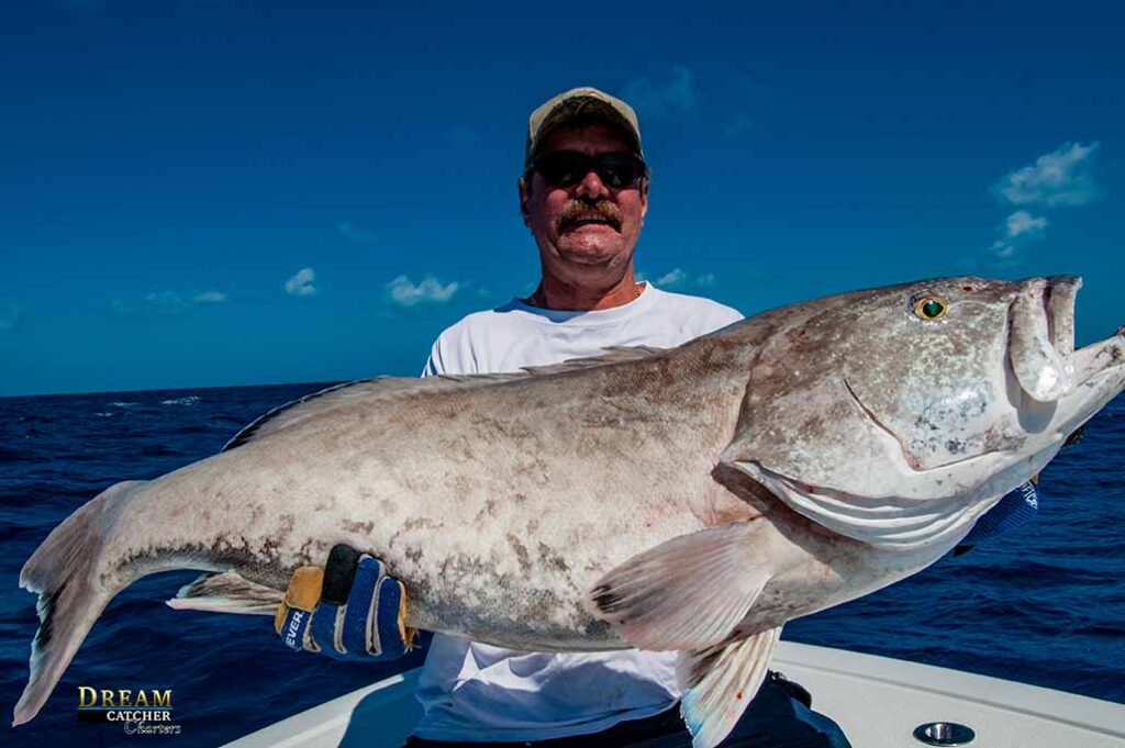Reef Fishing Key West Charters and Trips