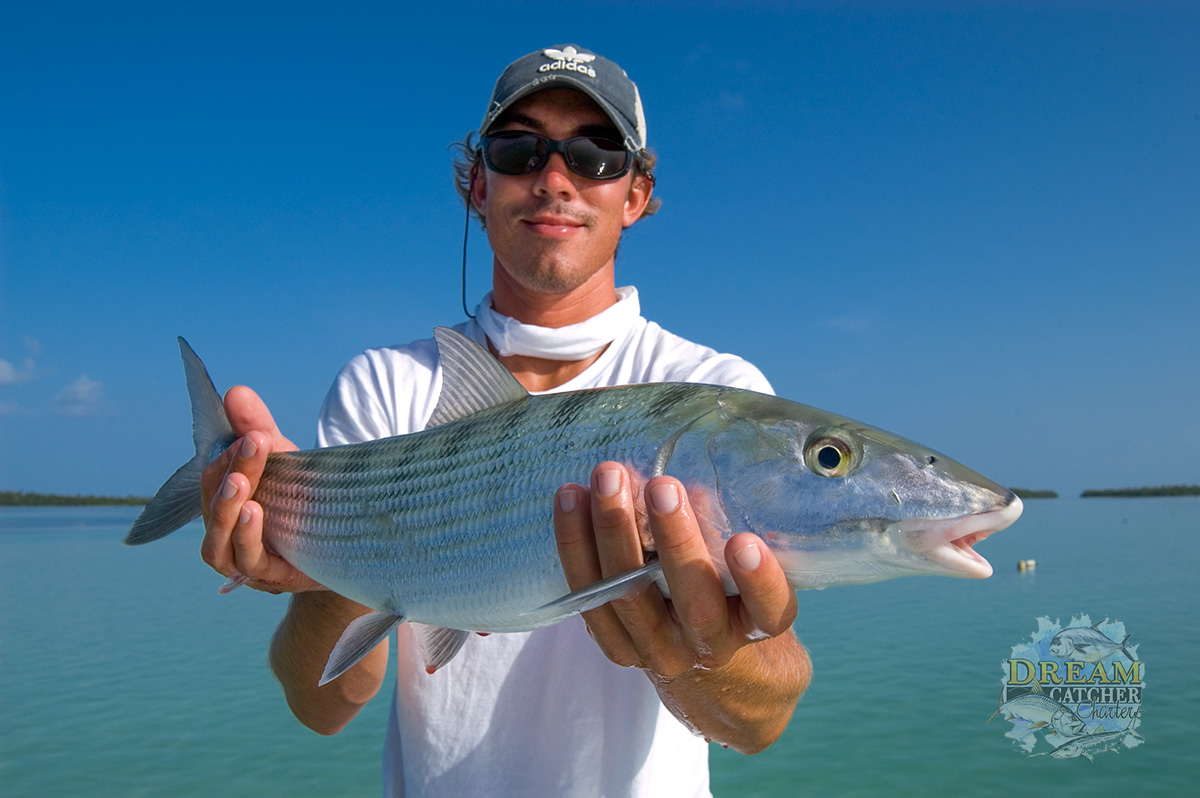 Top Ten Key West Fish Species - Fishing Key West Capt. Steve