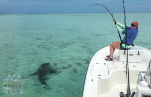 Top Ten Key West Fish Species - Fishing Key West Capt. Steve