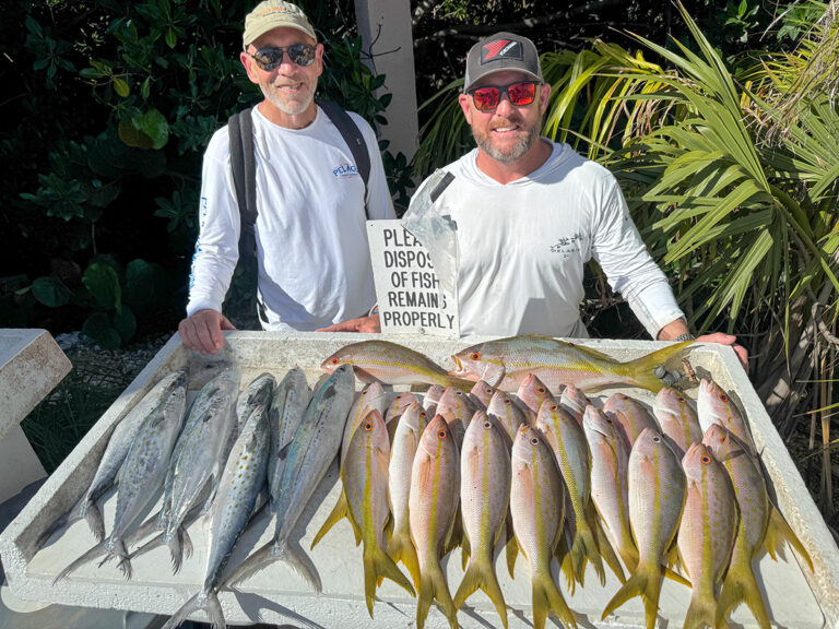 Top Ten Key West Fish Species - Key West Fishing Charters Go With Capt ...